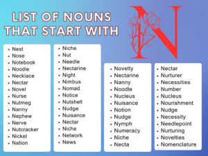 Nouns That Start With N in English ( With Meaning and Examples)