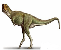 Animals That Start with X | Interesting Facts with Pictures