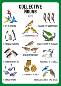 Nouns That Start With N in English ( With Meaning and Examples)