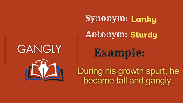 Gangly Definition Meaning Synonyms Antonyms Gangly Definition Meaning Synonyms Antonyms